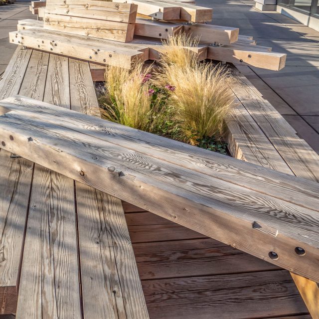 Architectural Elements » Portfolio » Log Jam