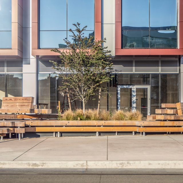 Architectural Elements » Portfolio » Log Jam