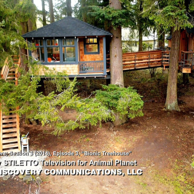 Architectural Elements » Portfolio » Treehouse Masters 2014