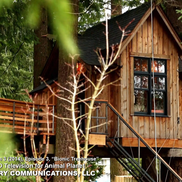 Architectural Elements » Portfolio » Treehouse Masters 2014