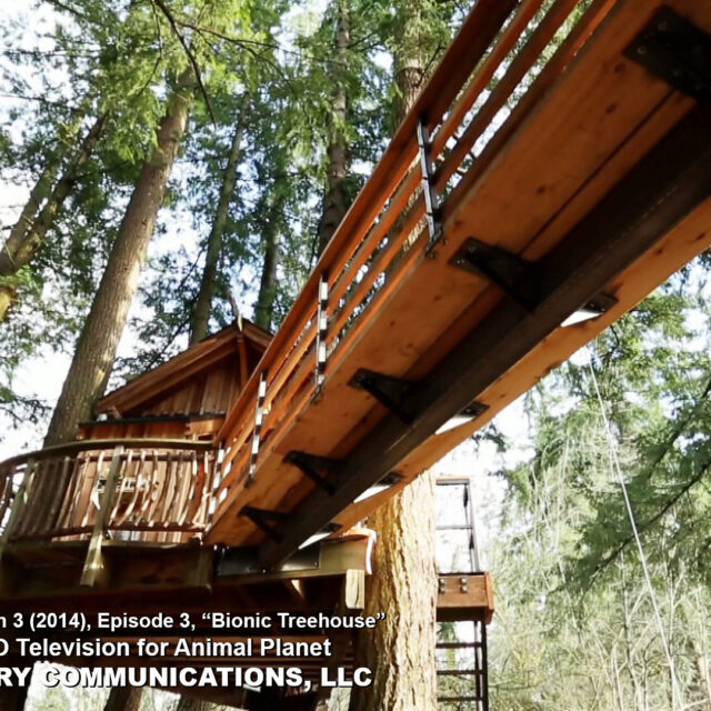 Architectural Elements » Portfolio » Treehouse Masters 2014