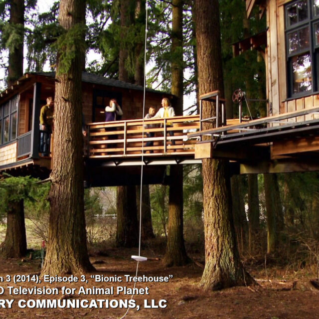Architectural Elements » Portfolio » Treehouse Masters 2014