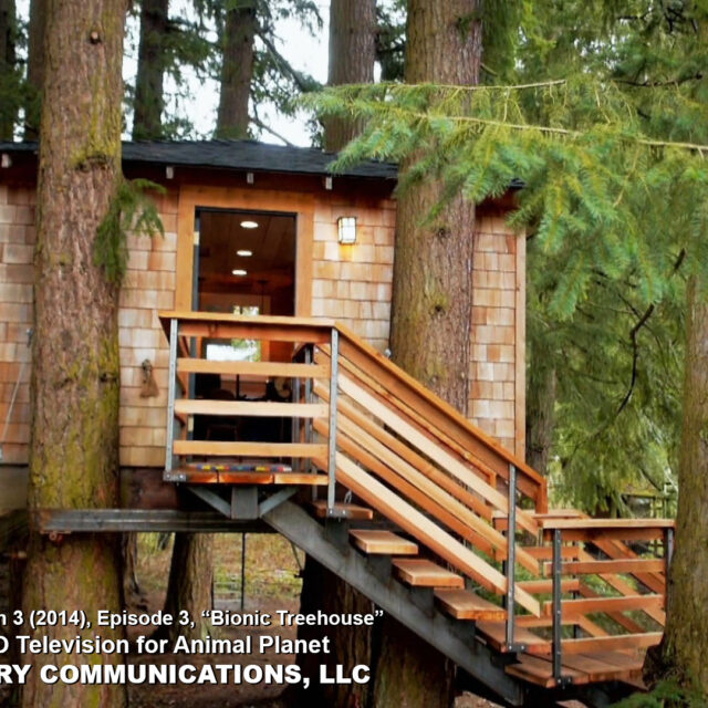 Architectural Elements » Portfolio » Treehouse Masters 2014